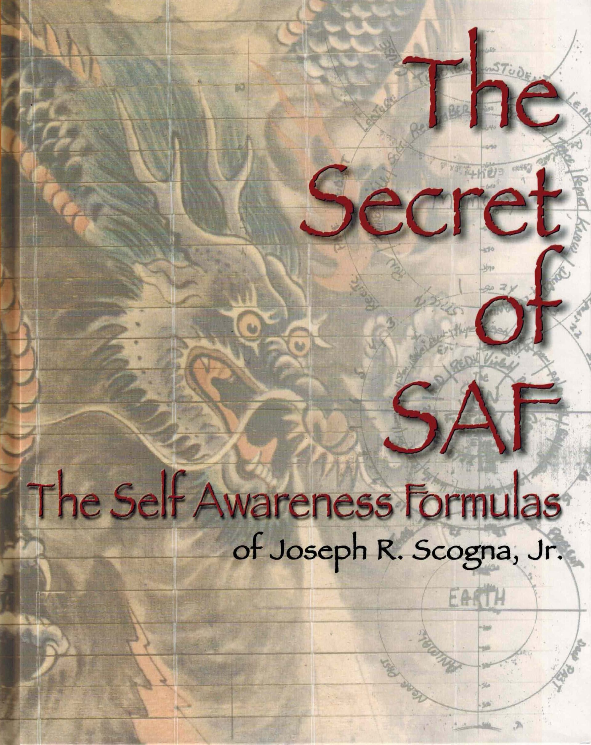 The Secret Of SAF Bundle: Definitive SAF® Textbook | Life Energy ...